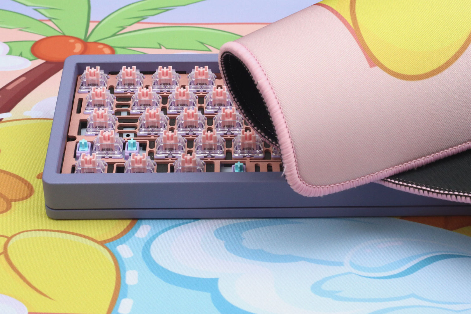 Viola Tricolor Switch - Vala Supply