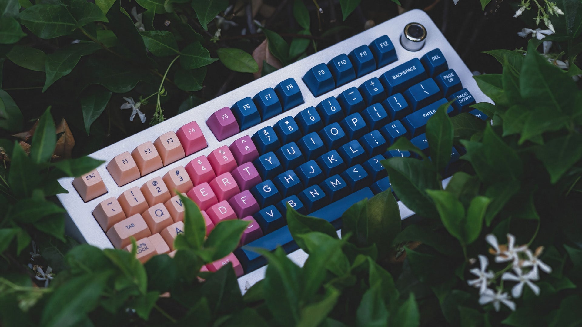 Paragon Mechanical Keyboard - Vala Supply